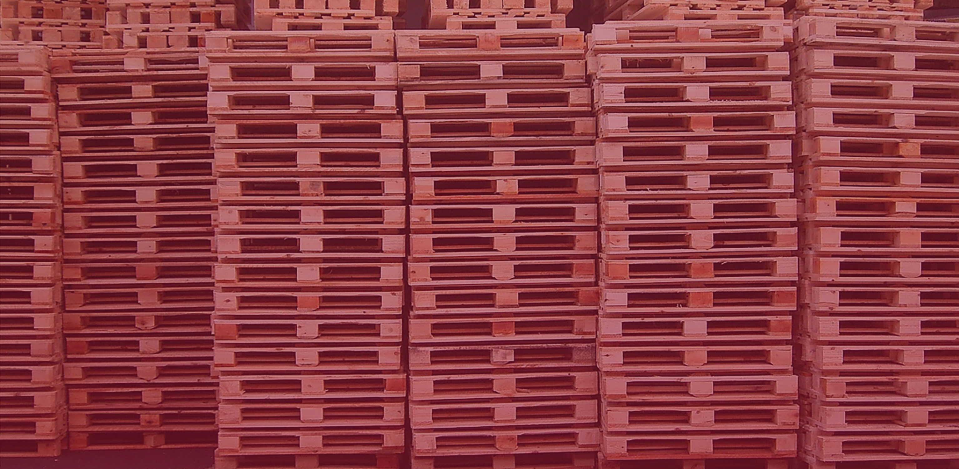 Home [3sonstest.com]